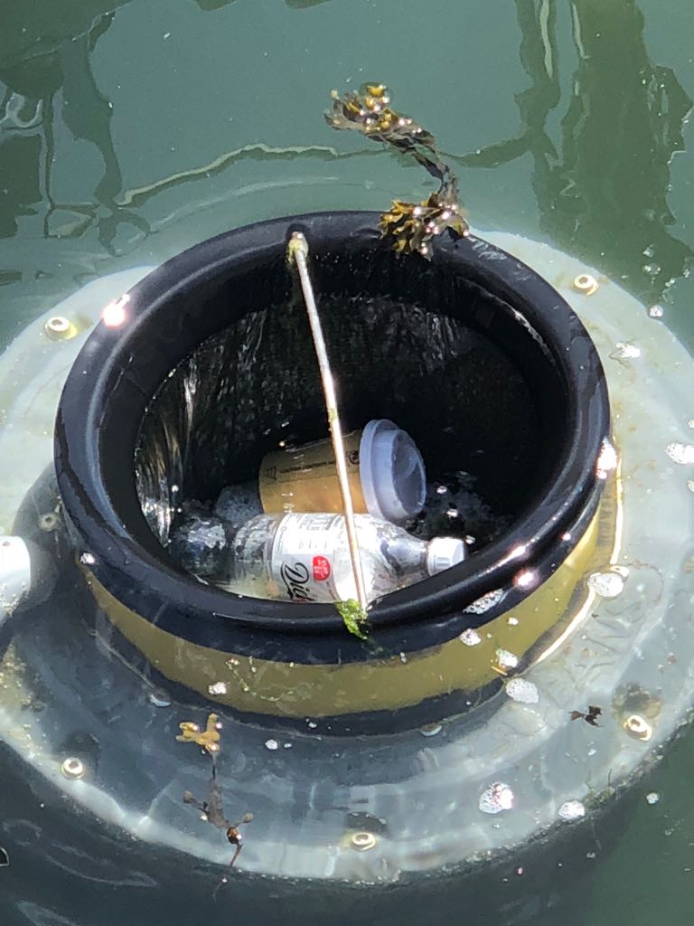 Emsworth Yacht Harbour SeaBin Launch - The Final Straw Foundation